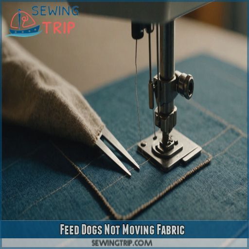 Sewing Machine Feed Dogs Not Working? Fix It Fast!