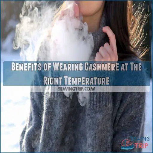 Is Cashmere Warm for Winter? The Truth About This Luxury Fiber