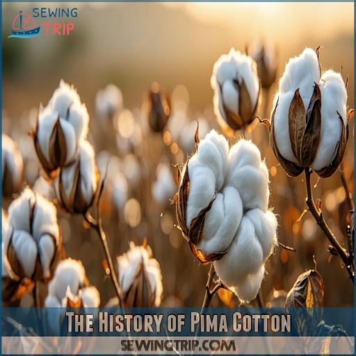What is Pima Cotton? The Luxury Fabric That's Worth Every Penny (2024)