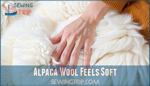 What Does Alpaca Feel Like? Soft, Silky & Surprisingly Itch-Free!