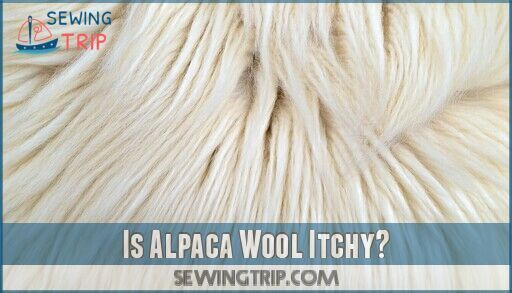 What Does Alpaca Feel Like? Soft, Silky & Surprisingly Itch-Free!