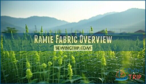 What is Ramie Fabric? Strong, Sustainable & Versatile Textile Explained