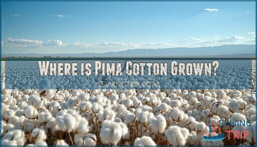Where is Pima Cotton Grown? A Comprehensive Guide