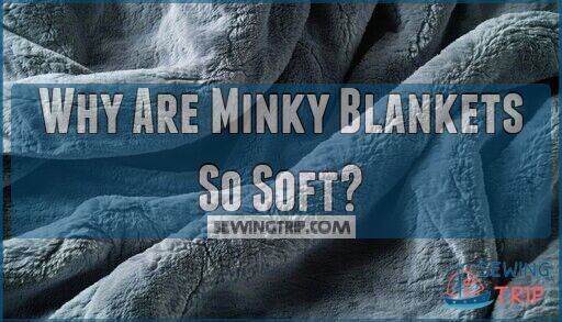 What is a Minky? The Ultimate Guide to Super Soft Blankets 2025