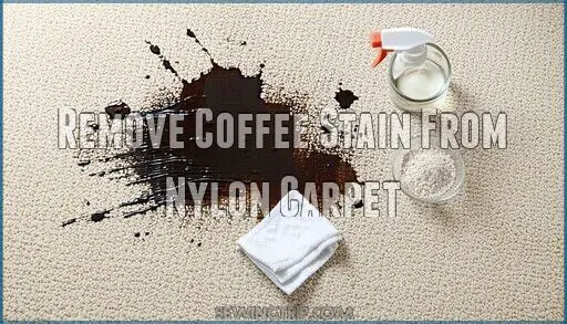 How to Clean Nylon Stains Remove Grease: Quick & Easy Methods