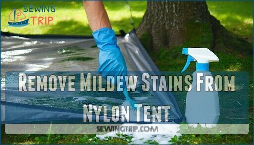 How to Clean Nylon Stains Remove Grease: Quick & Easy Methods