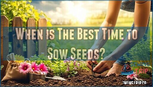 Sowing Seeds: Complete Beginner's Guide to Planting Success
