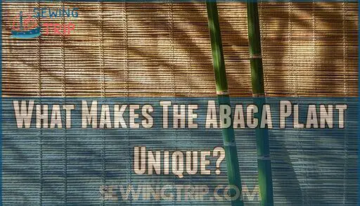 What is Abaca Fabric? Properties, Uses & Sustainability Guide